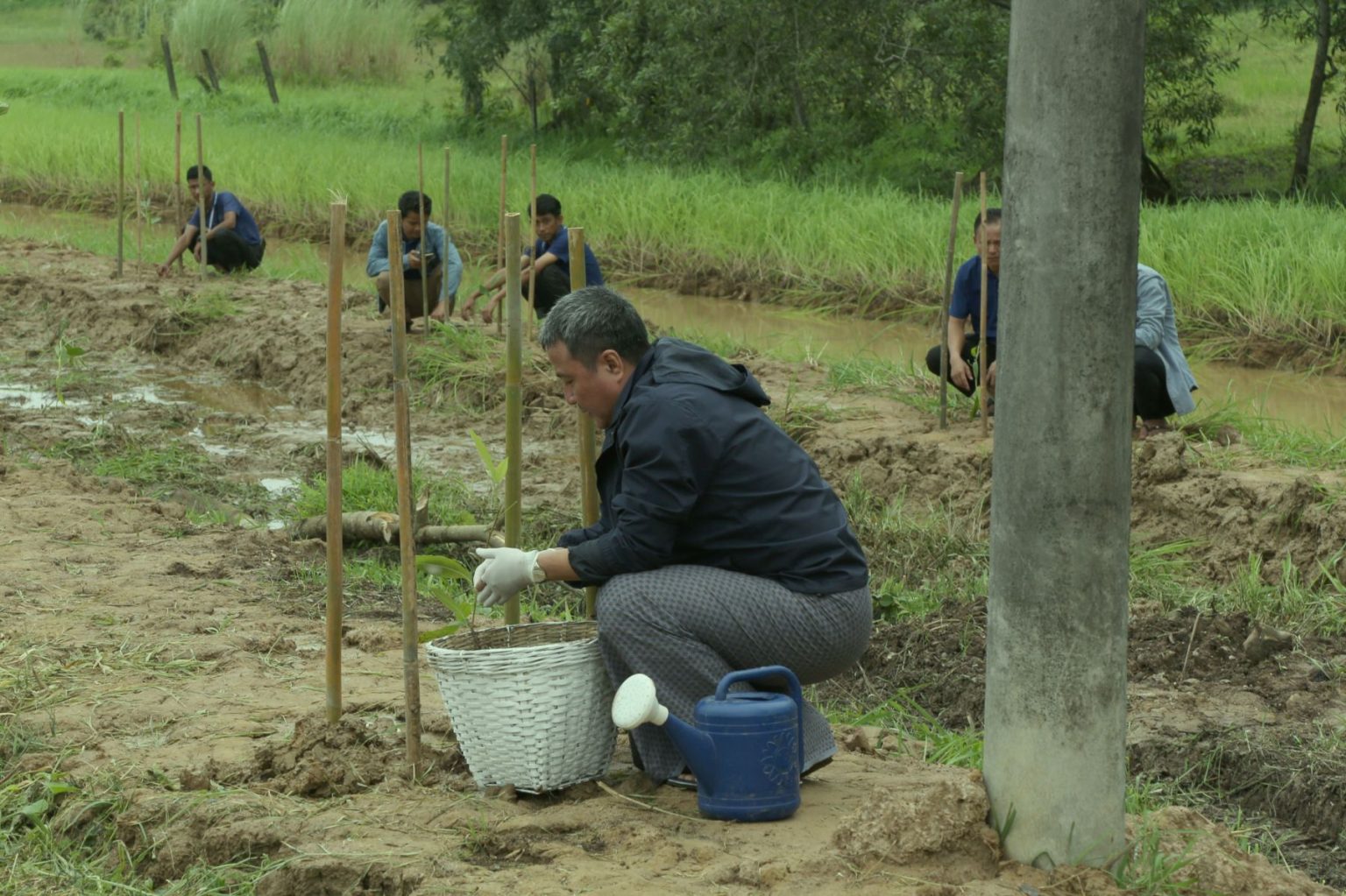 Max Highway Co., Ltd. Plants 3,000 Trees Along BOT-Managed Roads During ...